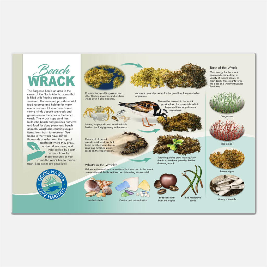 "Beach Wrack" Signage – drawnbydawn