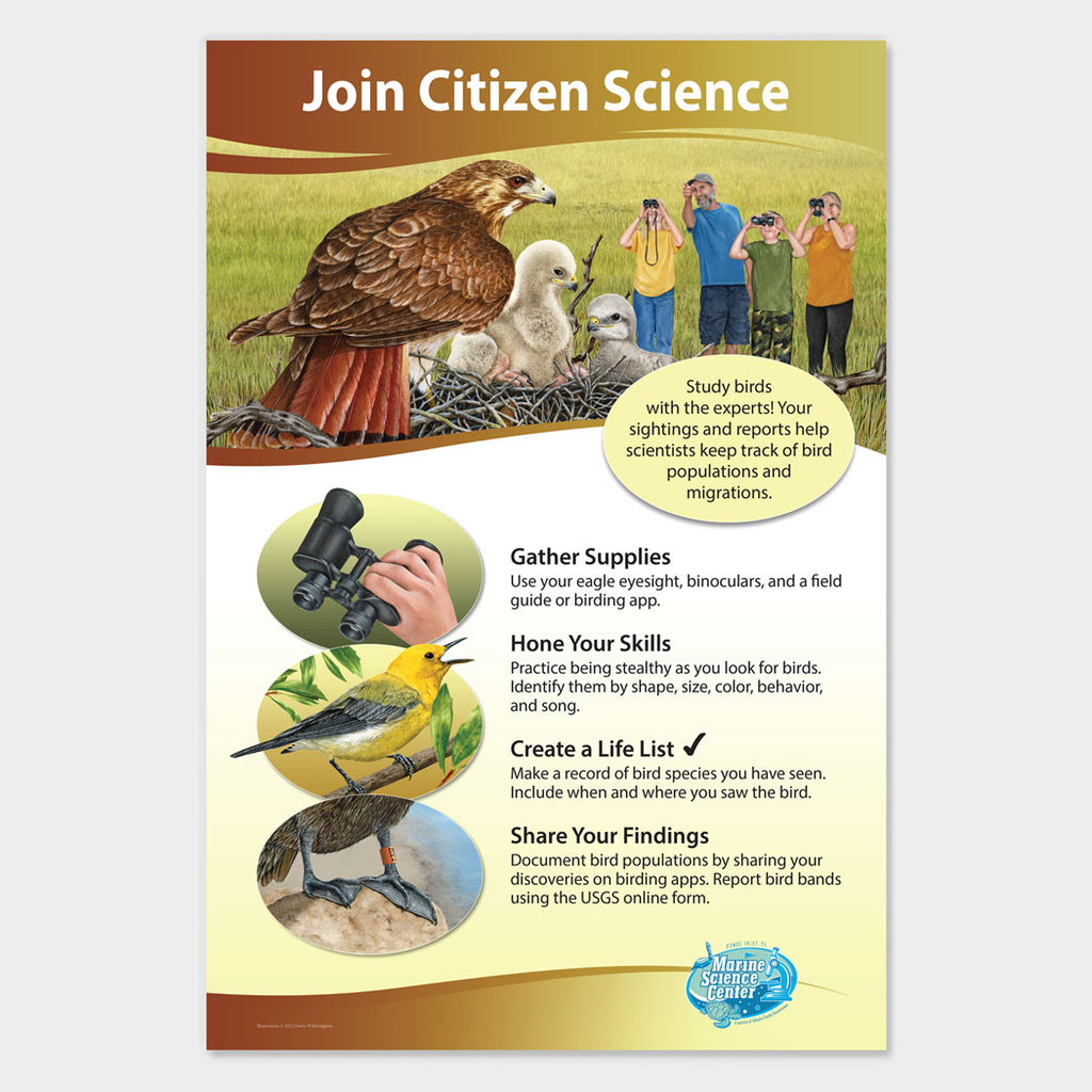 Marine Science Center "Join Citizen Science" Signage – drawnbydawn