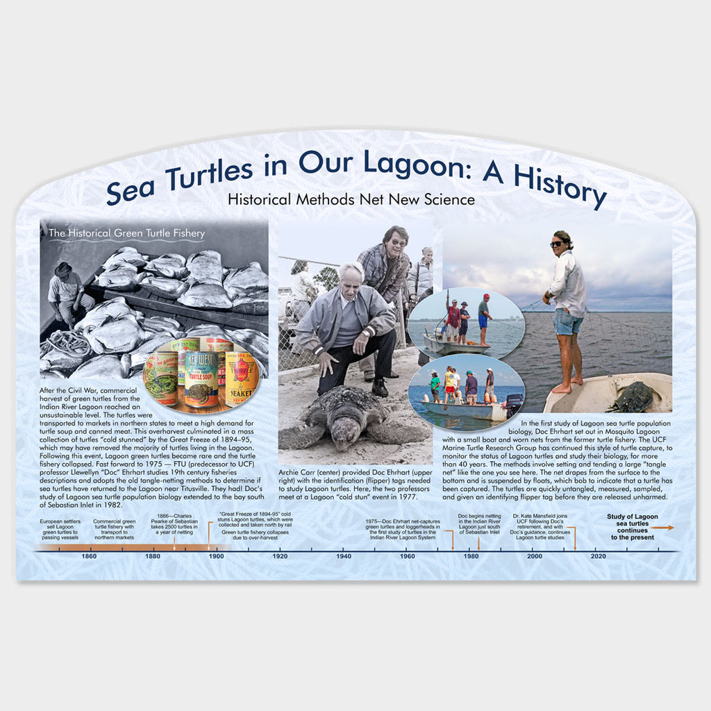 "Sea Turtles in Our Lagoon: A History" Display – drawnbydawn