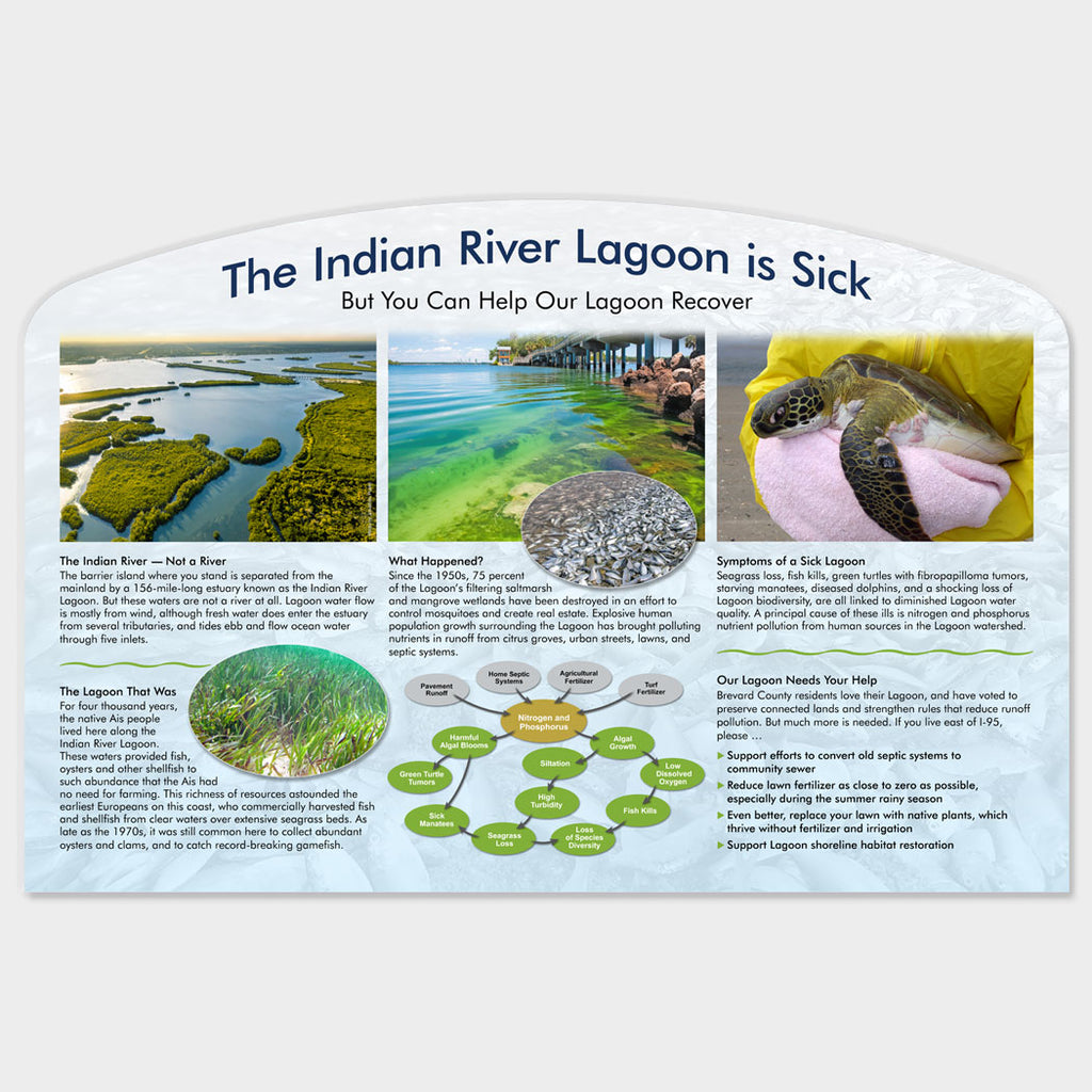 "The Indian River Lagoon is Sick" Display – drawnbydawn