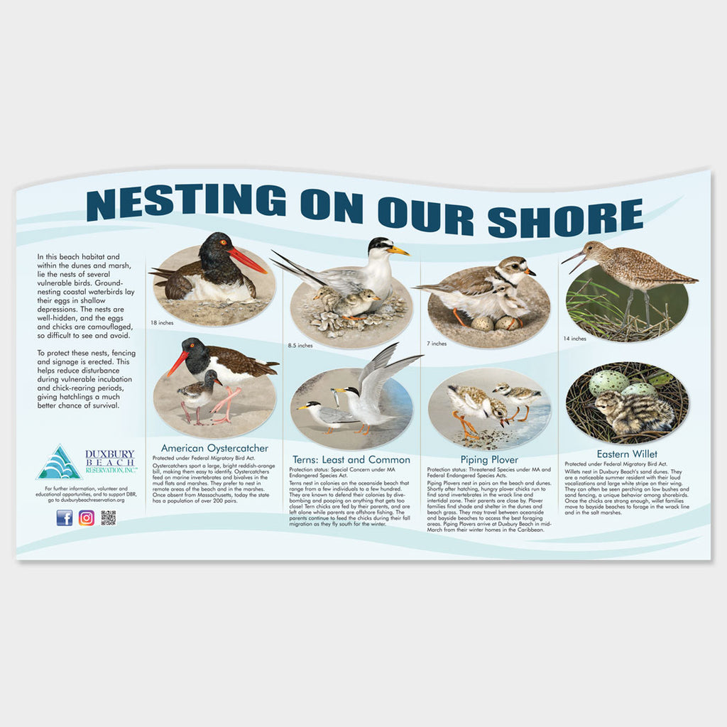 Nesting Shorebirds of Duxbury Beach Reservation Signage – drawnbydawn