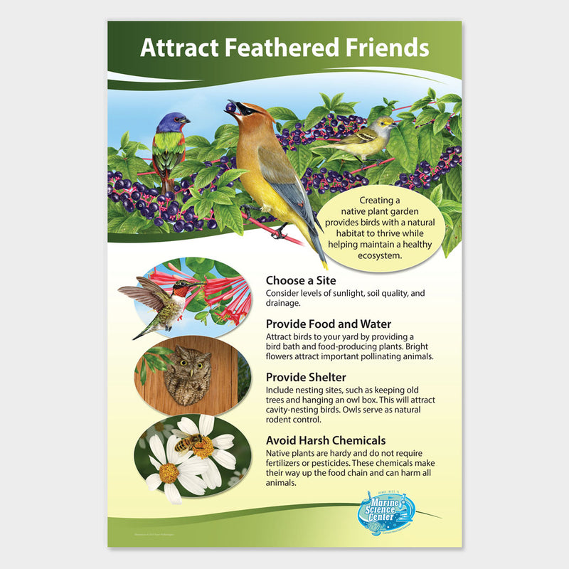 "Attract Feathered Friends" Signage – drawnbydawn