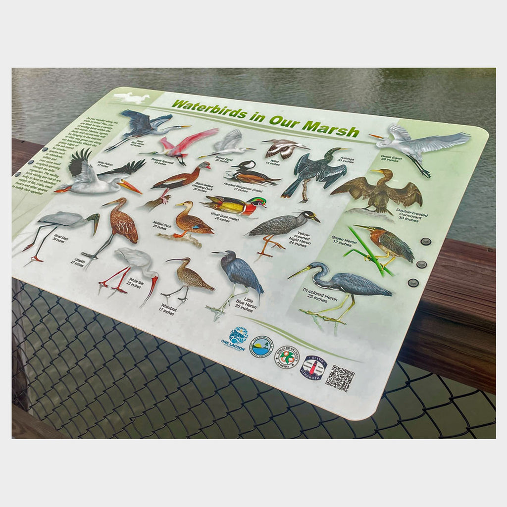 Jones' Pier "Waterbirds in Our Marsh" Display Panel Installed – drawnbydawn