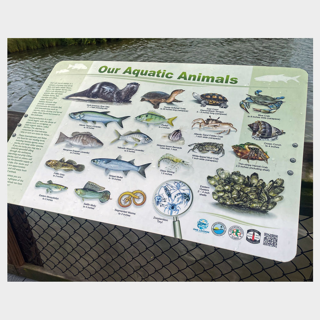 Jones' Pier "Our Aquatic Animals" Display Panel Installed – drawnbydawn