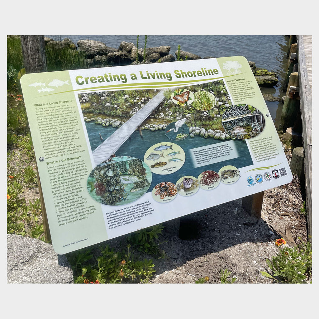 "Creating a Living Shoreline" Display Panel Installed – drawnbydawn