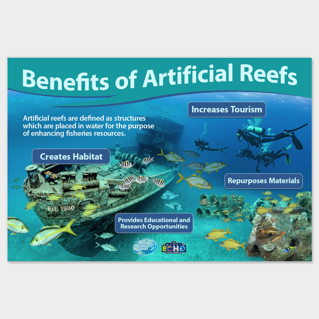 Marine Science Center "Benefits of Artificial Reefs" – drawnbydawn