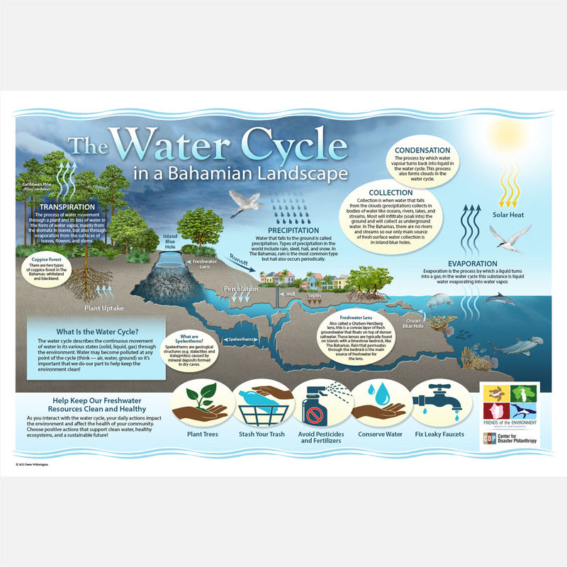 "The Water Cycle in a Bahamian Landscape" Poster – drawnbydawn