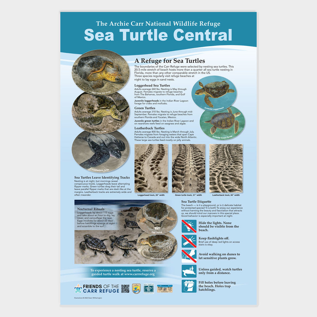 Archie Carr National Wildlife Refuge Signage – drawnbydawn