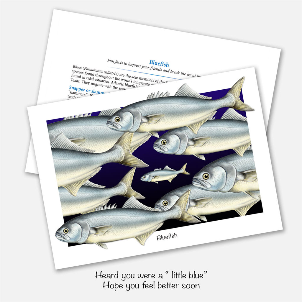 "Feeling Blue" Bluefish Greeting Card – drawnbydawn