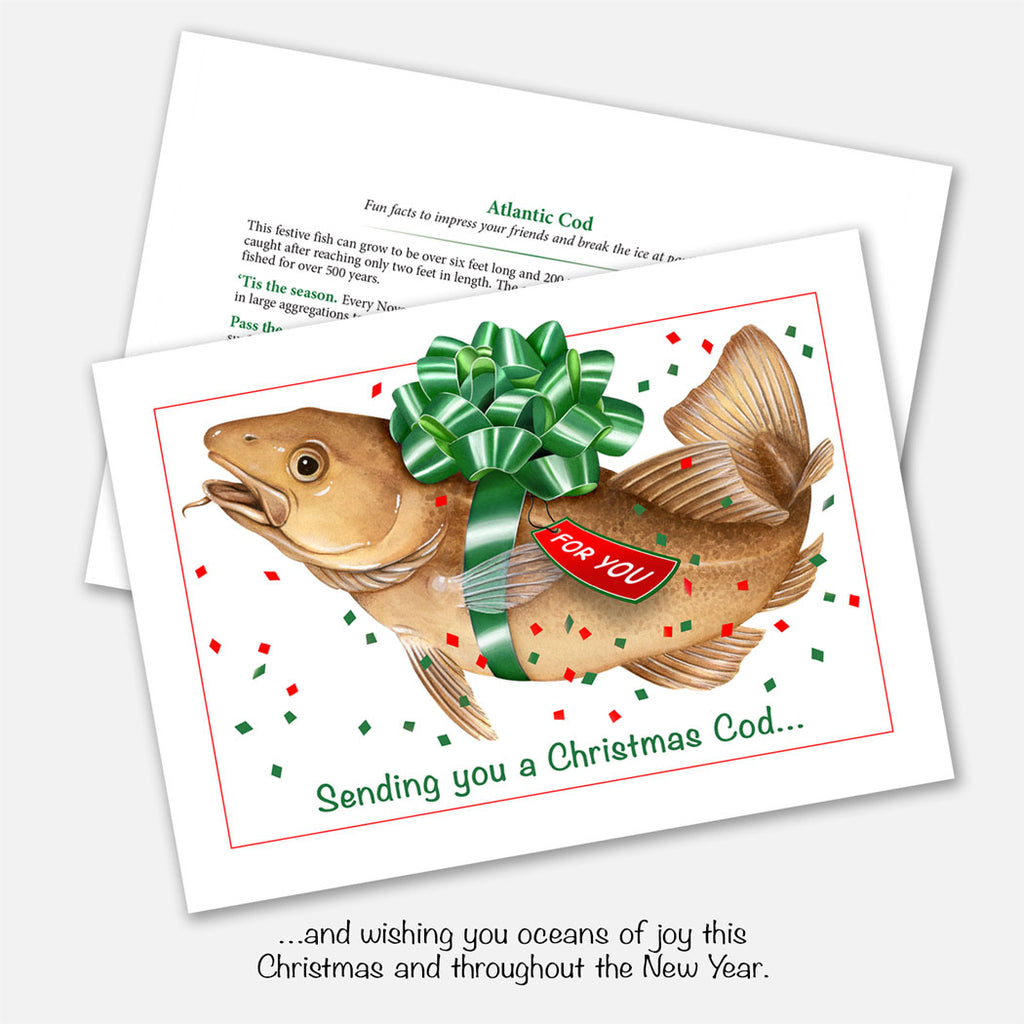 Christmas Cod Christmas Card – drawnbydawn