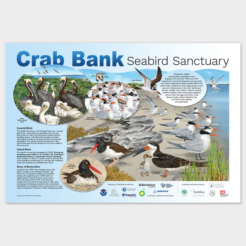 Crab Bank Seabird Sanctuary Signage – drawnbydawn
