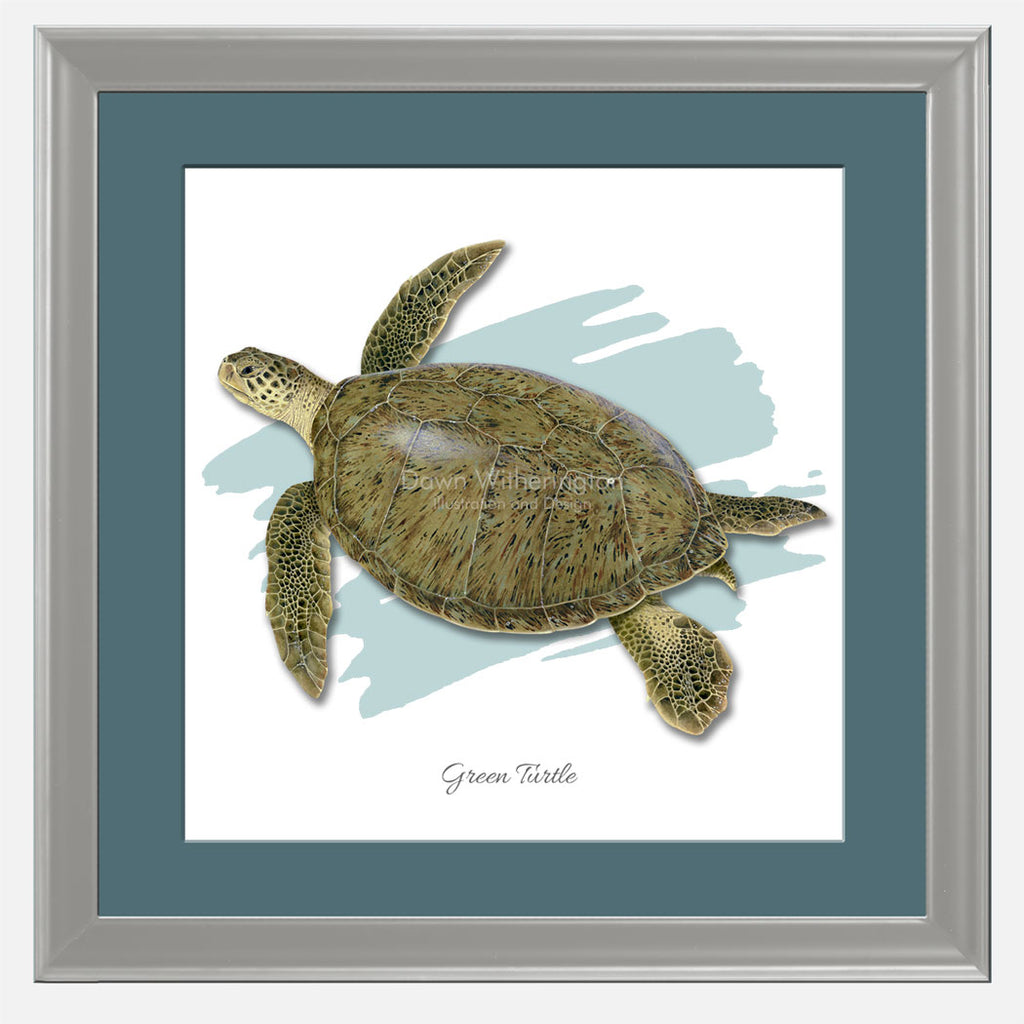 Green turtle with graphic – drawnbydawn