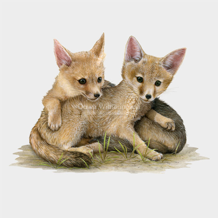 Kit Fox Kits – drawnbydawn