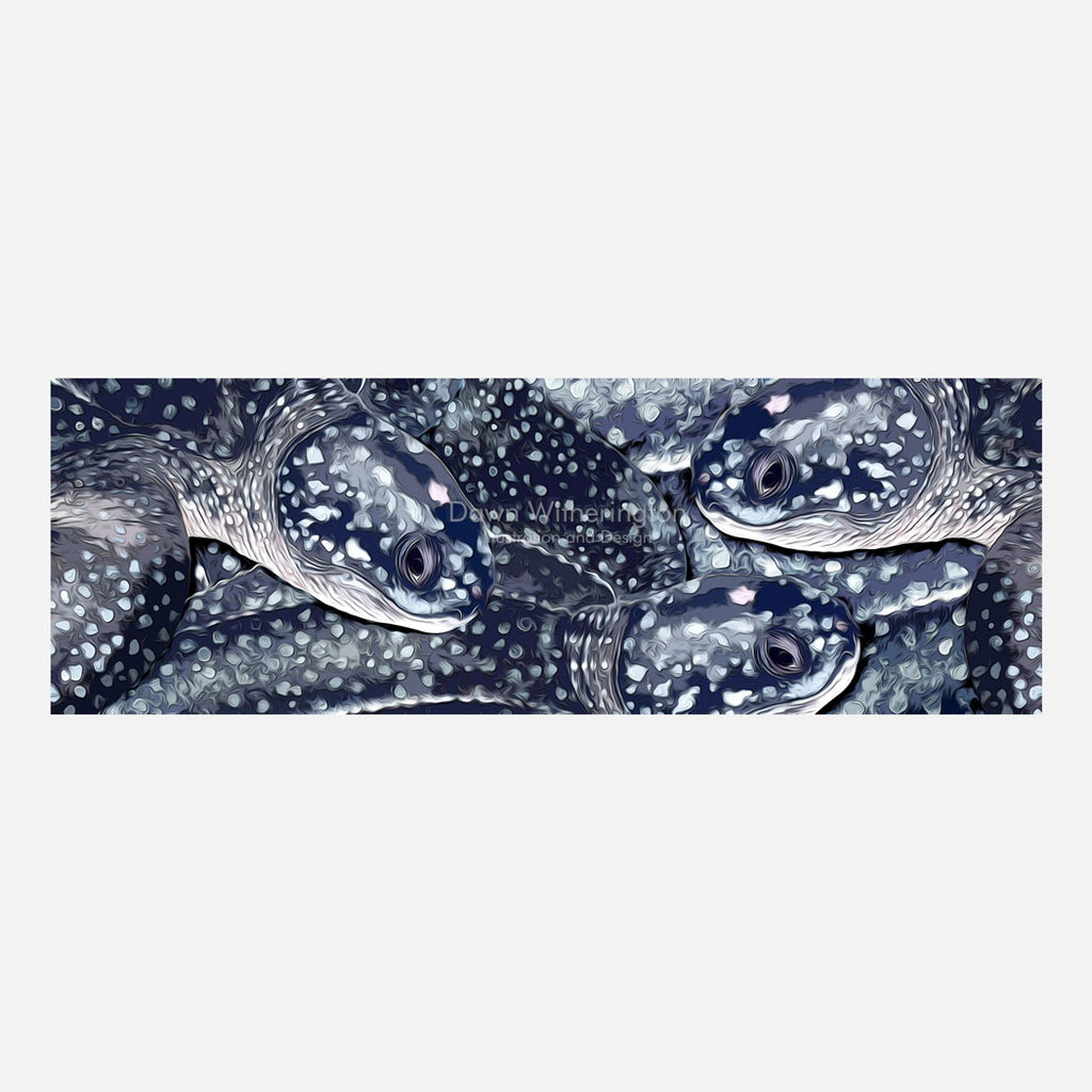 Leatherback turtle graphic – drawnbydawn