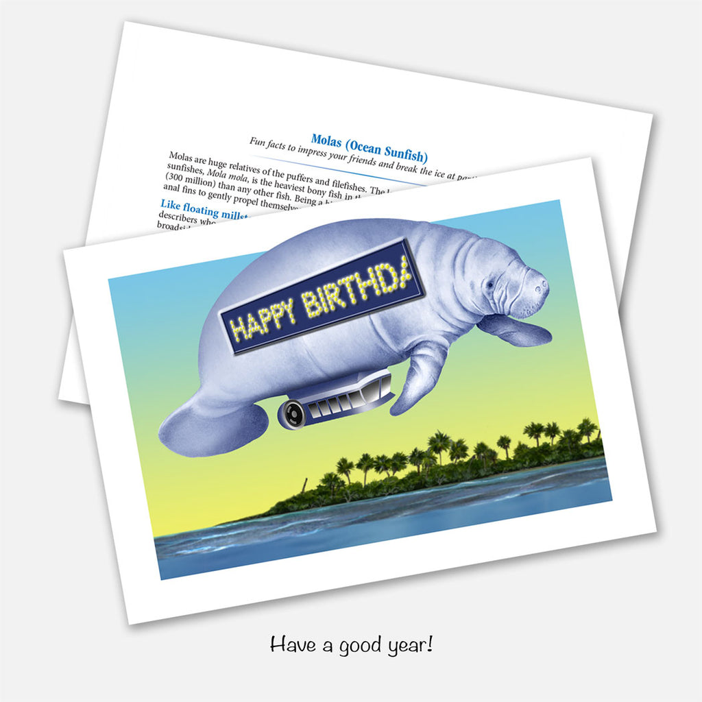 Manatee Blimp Birthday Card – drawnbydawn