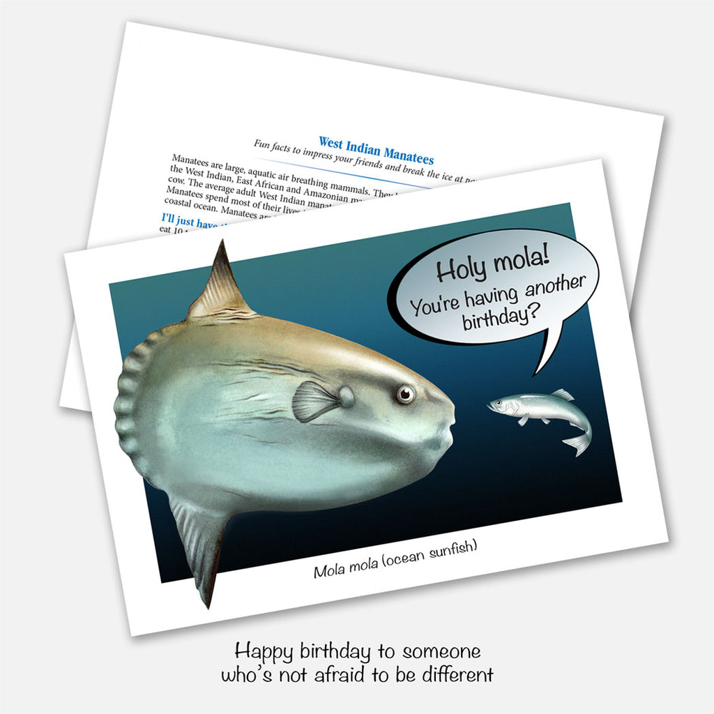 "Holy Mola" Birthday Card – drawnbydawn