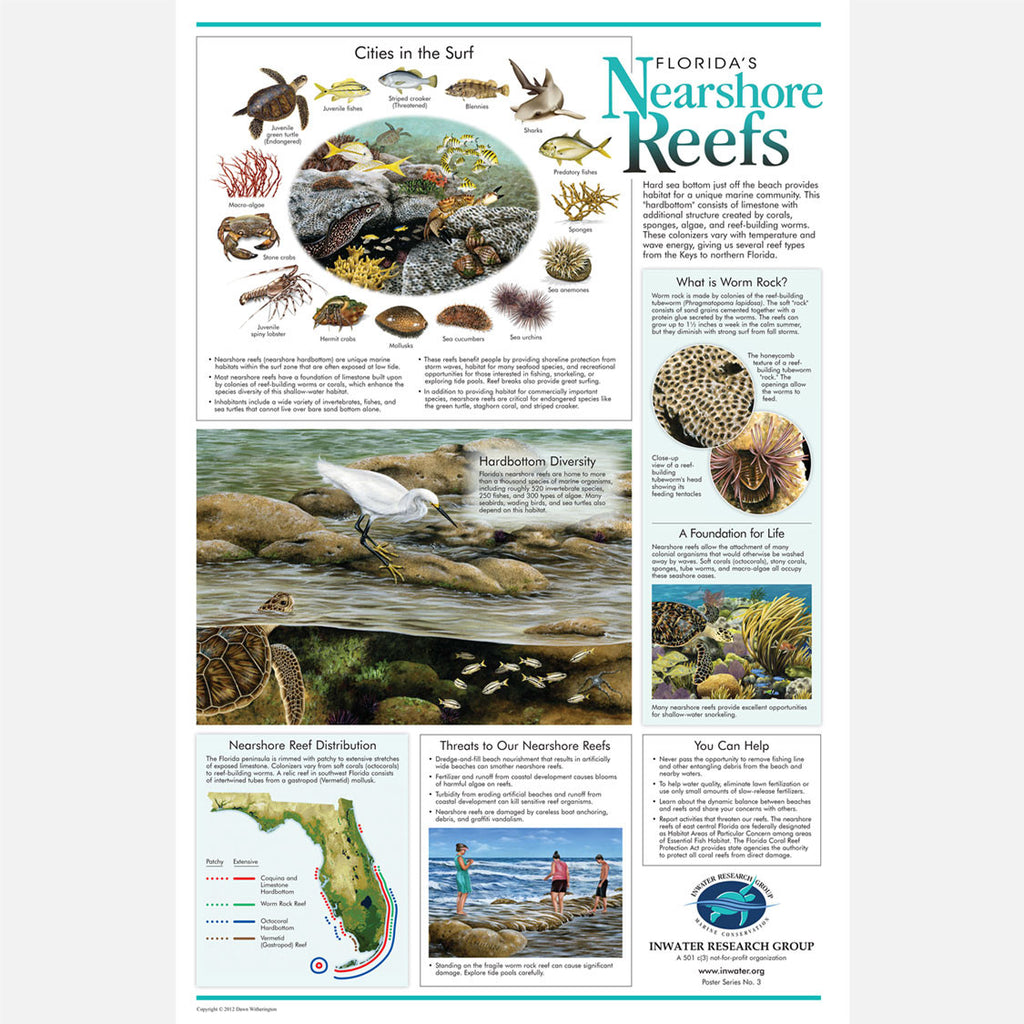 "Florida's Nearshore Reefs" Poster – drawnbydawn